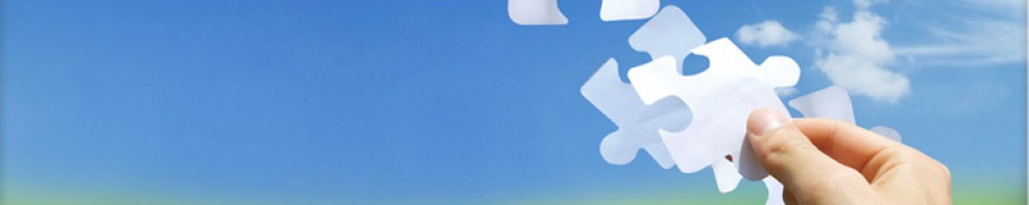 cropped-cropped-header-puzzle2560x.jpg - CallTheBizPro.Com